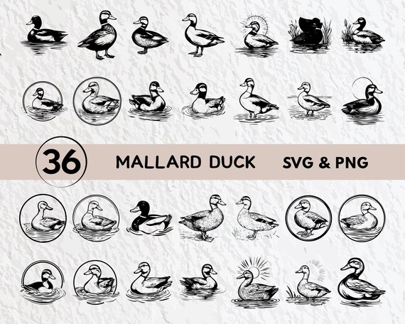 Duck Icon Svg