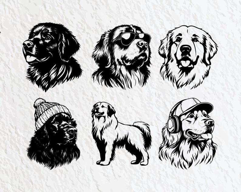 Newfoundland Dog SVG Bundle: Silhouette Clipart, Logo Icon (PNG, Cricut ...