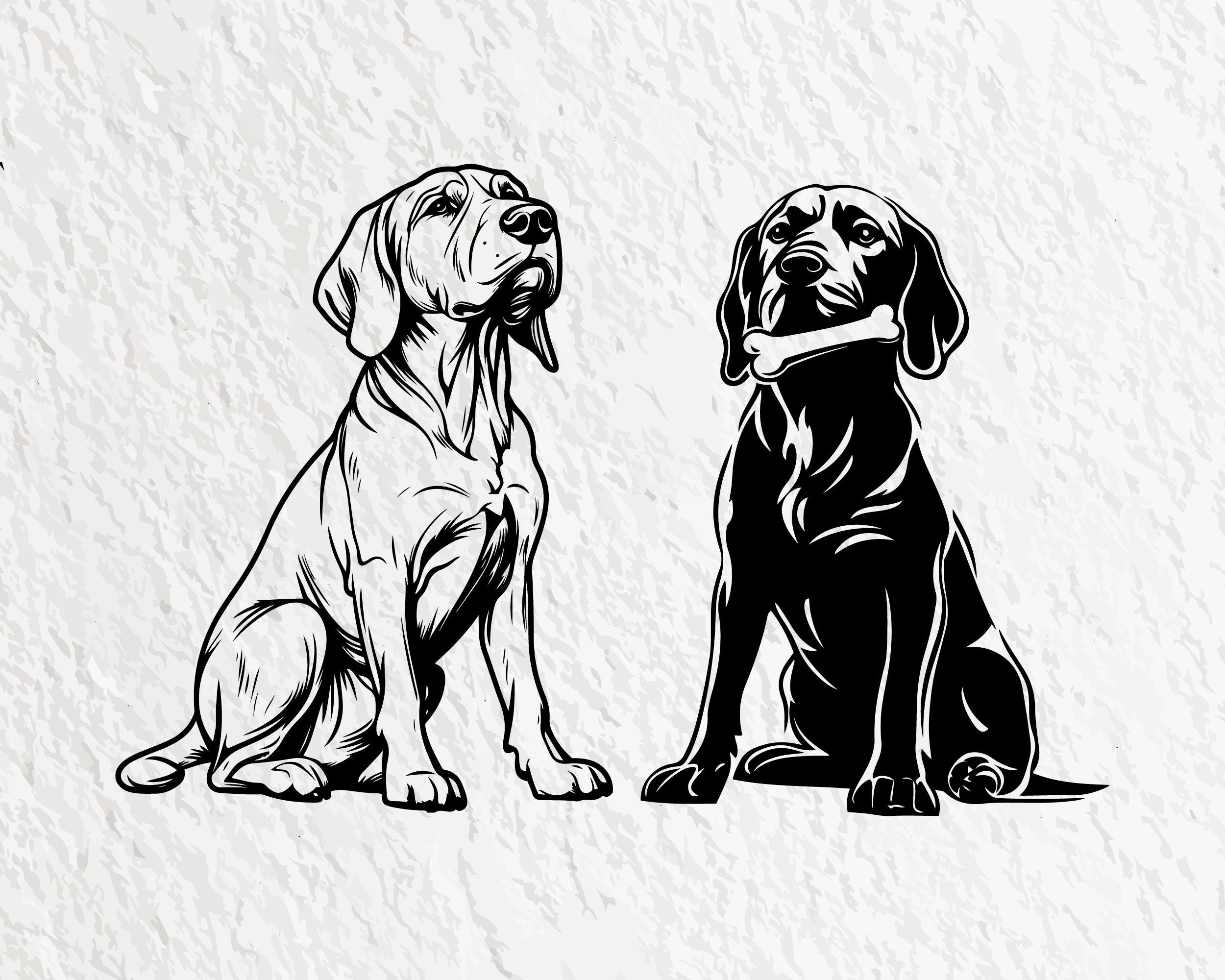 Bracco Italiano SVG Bundle: Dog Breed Clipart, Logo Icon (PNG) - Etsy