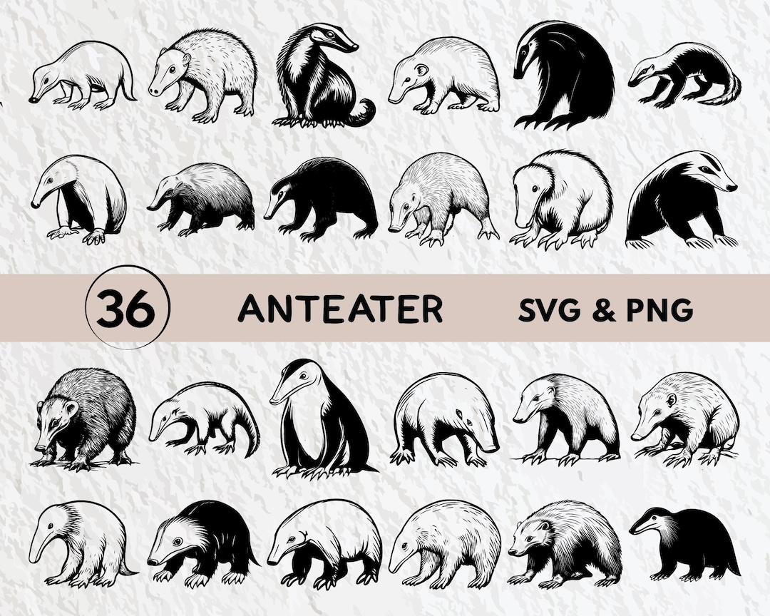 Anteater Svg Bundle, Anteater Silhouette, Anteater Clipart Png ...