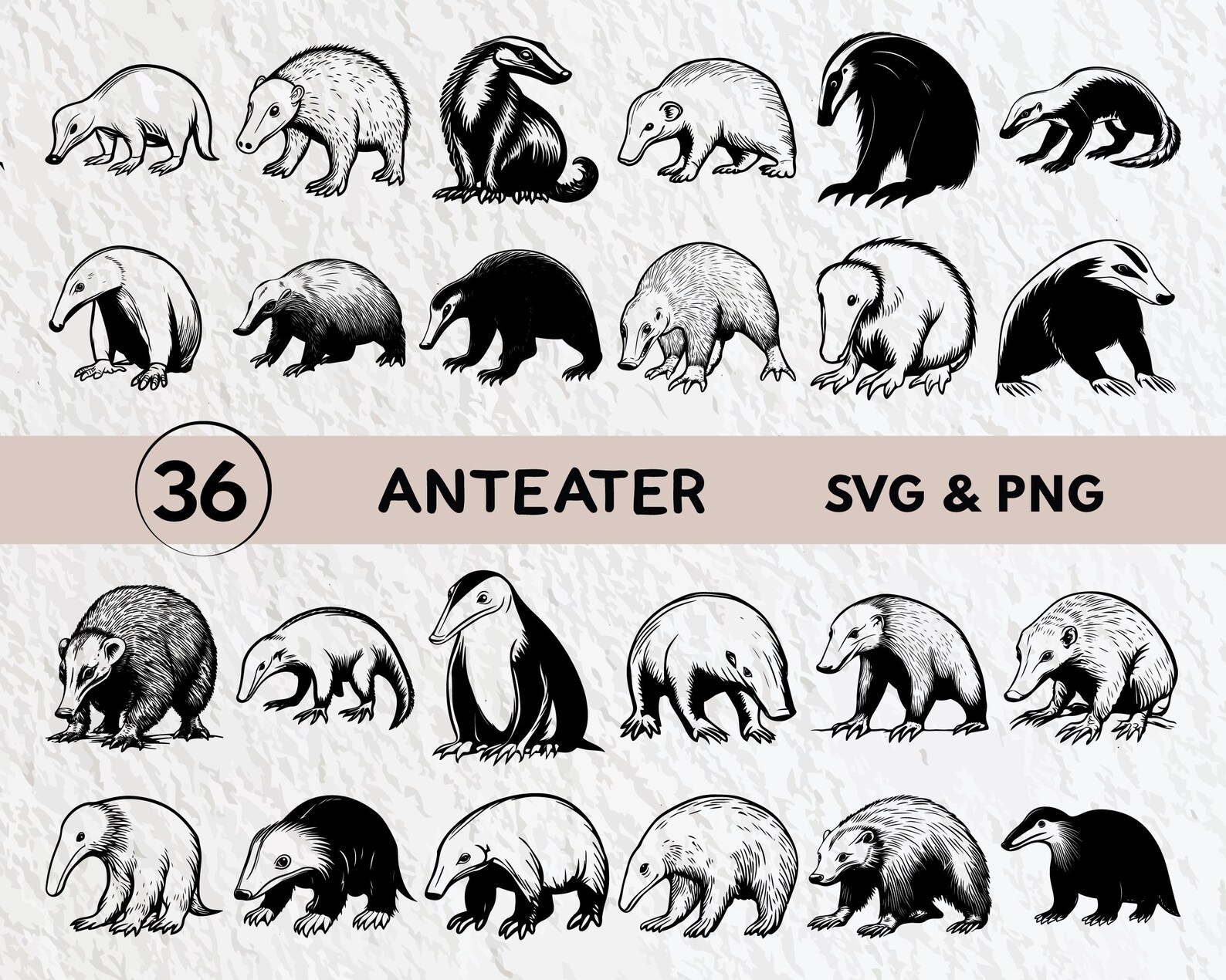 Anteater Svg Bundle, Anteater Silhouette, Anteater Clipart Png ...