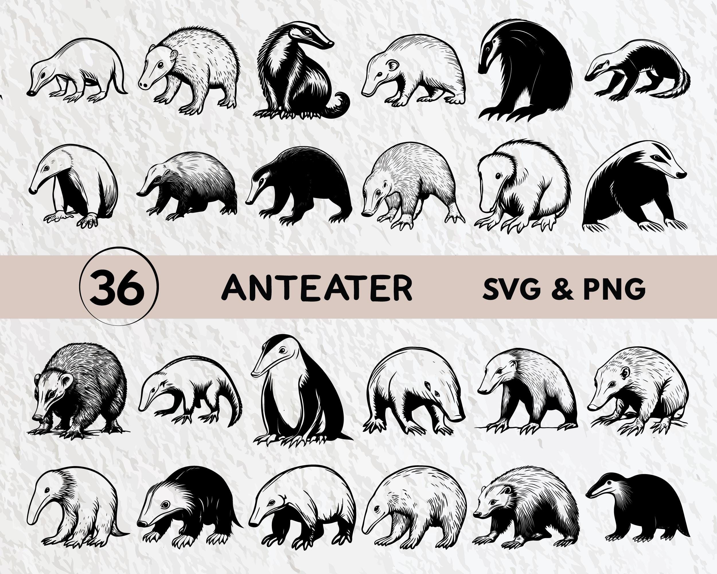 Anteater Svg Bundle, Anteater Silhouette, Anteater Clipart Png ...