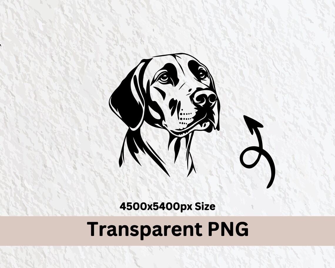 English Pointer Svg Bundle, English Pointer Silhouette, English Pointer ...