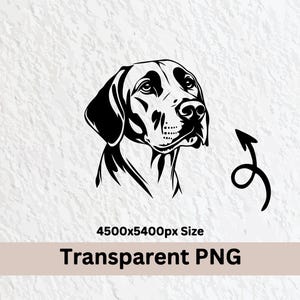 English Pointer Svg Bundle, English Pointer Silhouette, English Pointer ...