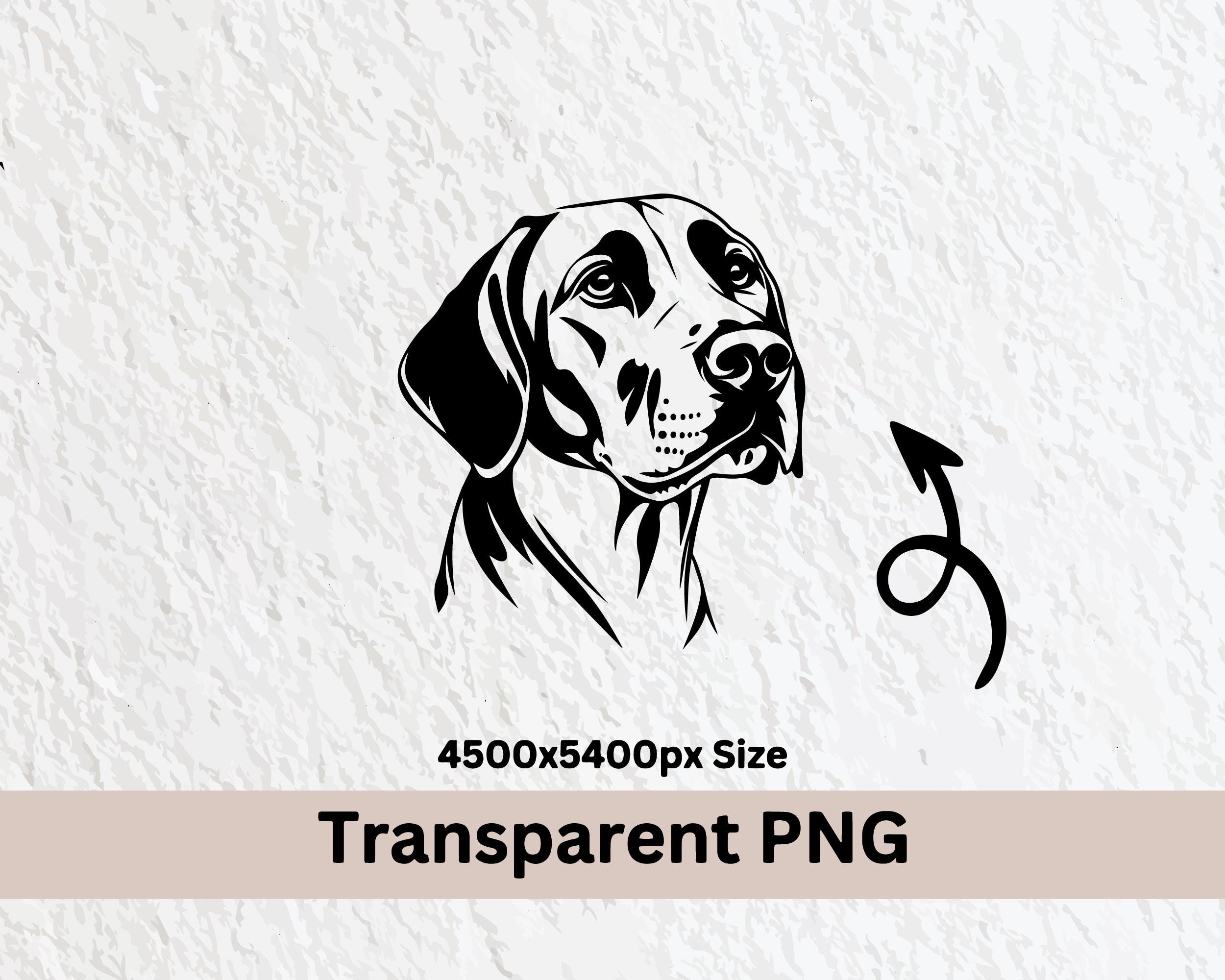 English Pointer Svg Bundle, English Pointer Silhouette, English Pointer ...