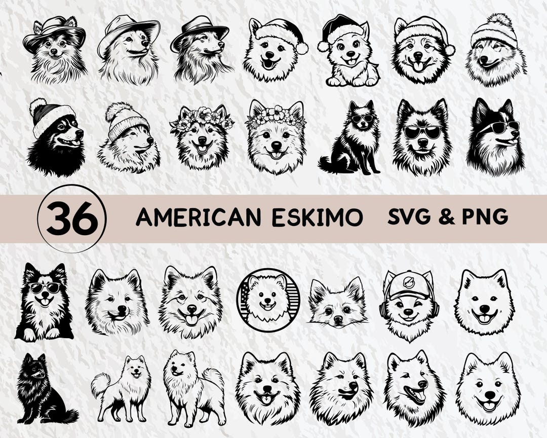 American Eskimo Dog Silhouette Svg, American Eskimo Art, American ...