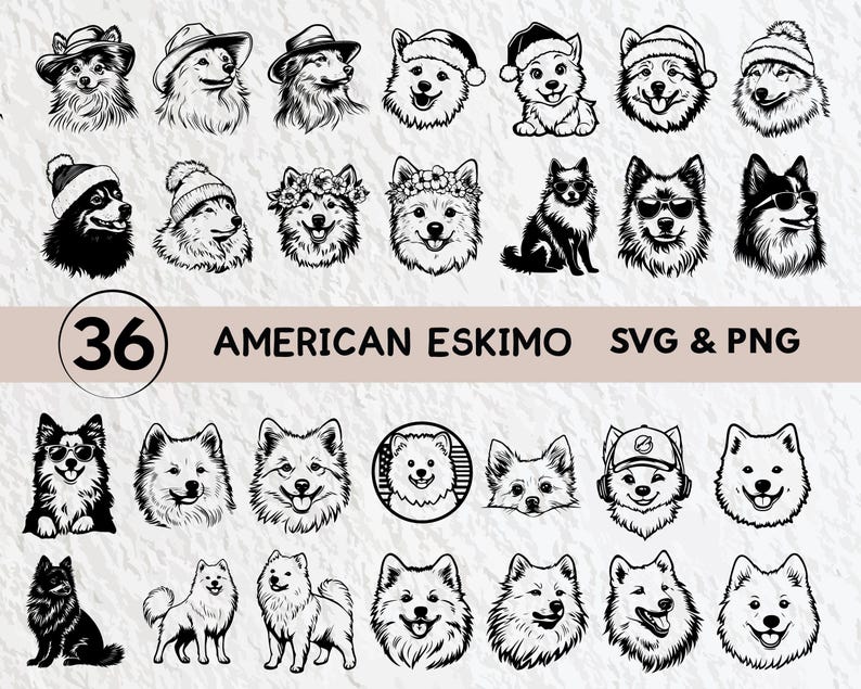 American Eskimo Dog SVG Bundle: Silhouette Clipart, Decal Cut Files ...