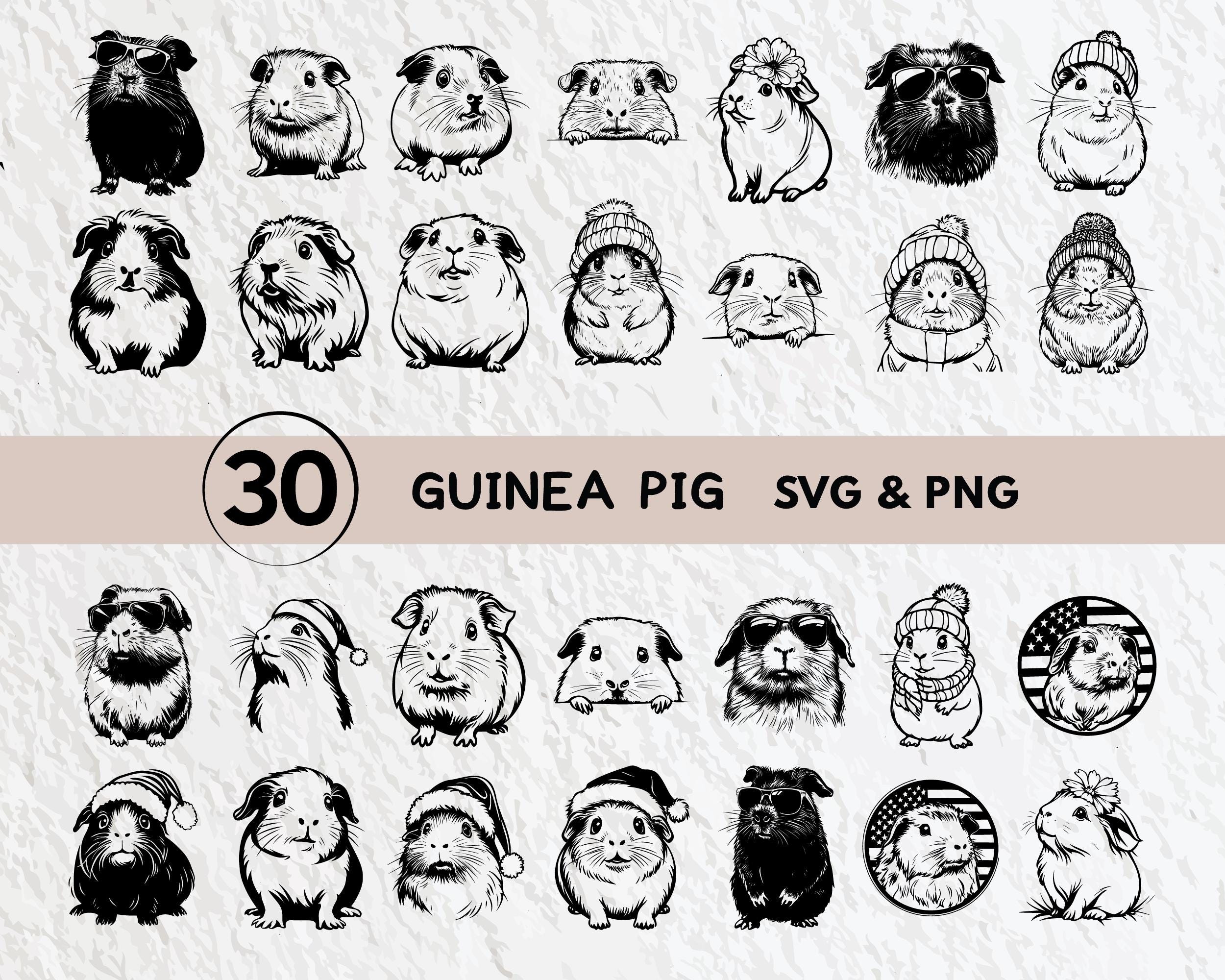 Guinea Pig Svg Bundle, Guinea Pig Silhouette, Guinea Pig Clipart Png ...