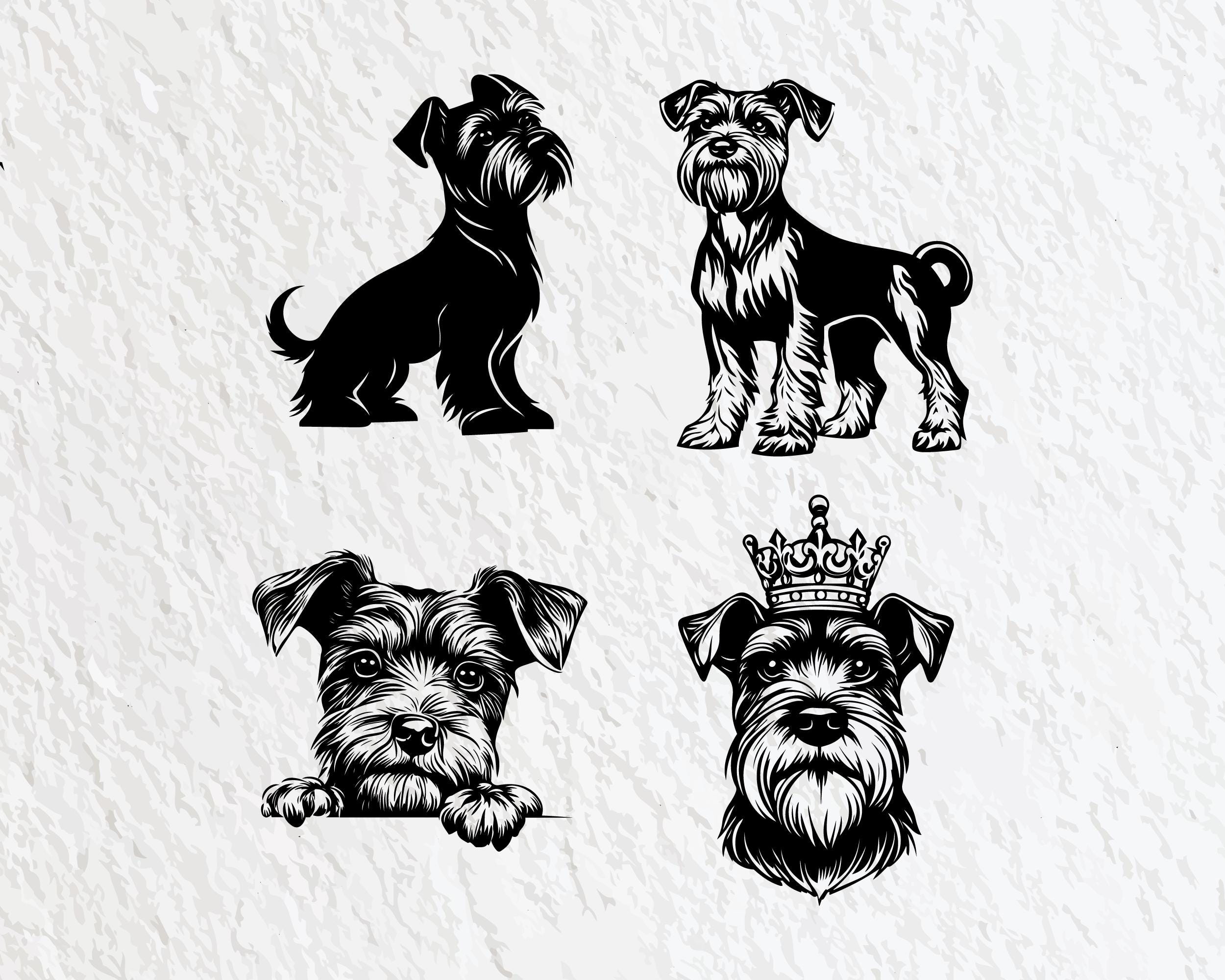 Miniature Schnauzer Svg Bundle, Miniature Schnauzer Silhouette ...