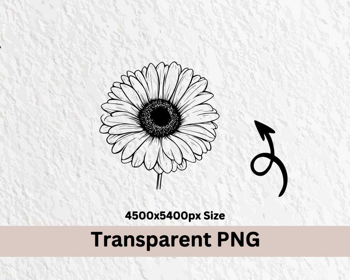 Gerbera Svg Bundle, Gerbera Silhouette, Gerbera Clipart Png, Gerbera ...