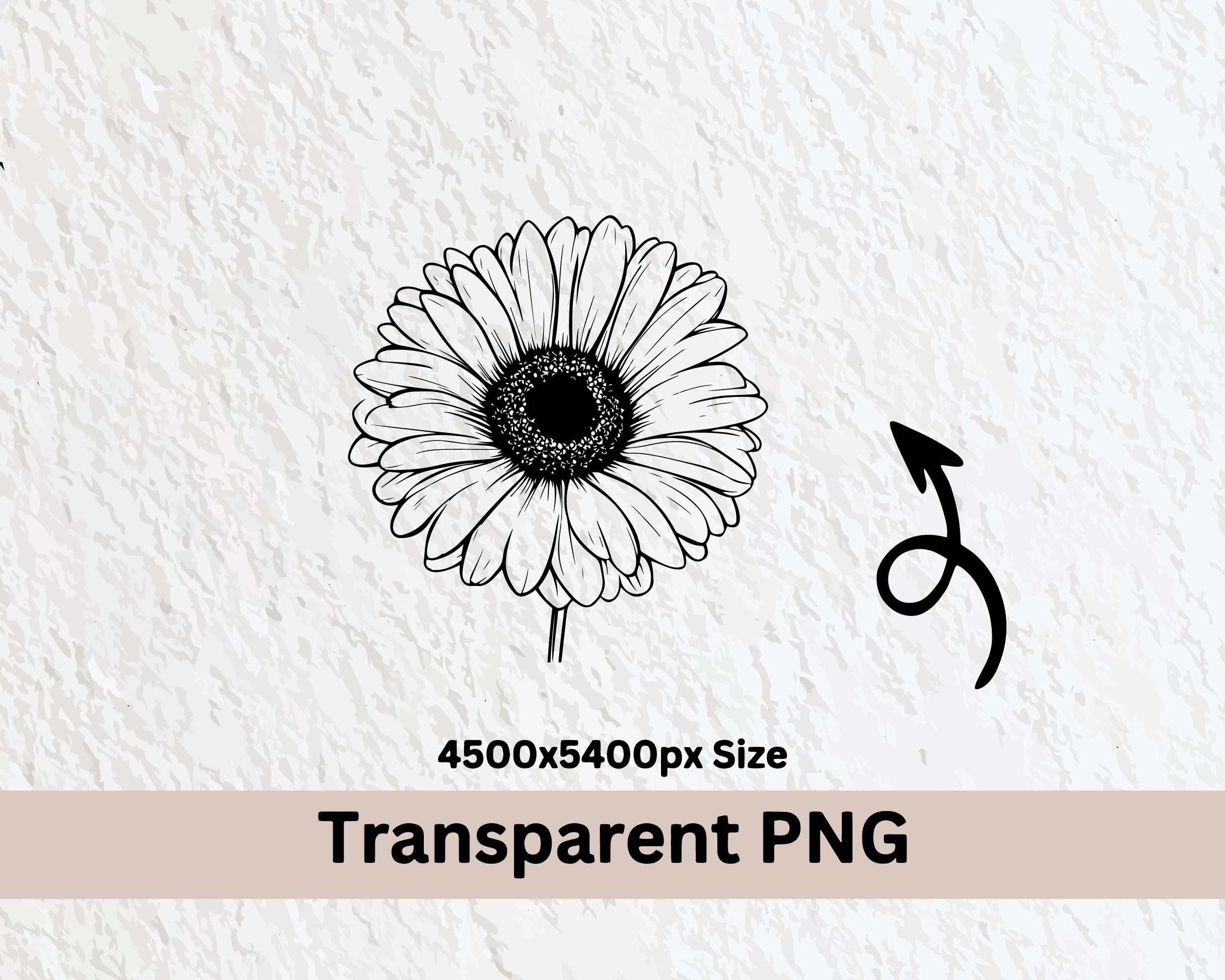 Gerbera Svg Bundle, Gerbera Silhouette, Gerbera Clipart Png, Gerbera ...