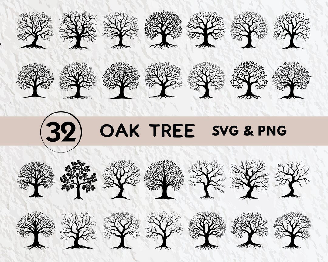 Oak Tree SVG Bundle: Silhouette Clipart, Logo Icon (PNG, Vector) - Etsy