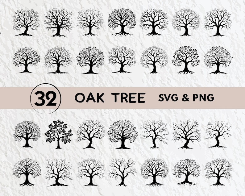 Oak Tree SVG Bundle: Silhouette Clipart, Logo Icon (PNG, Vector) - Etsy