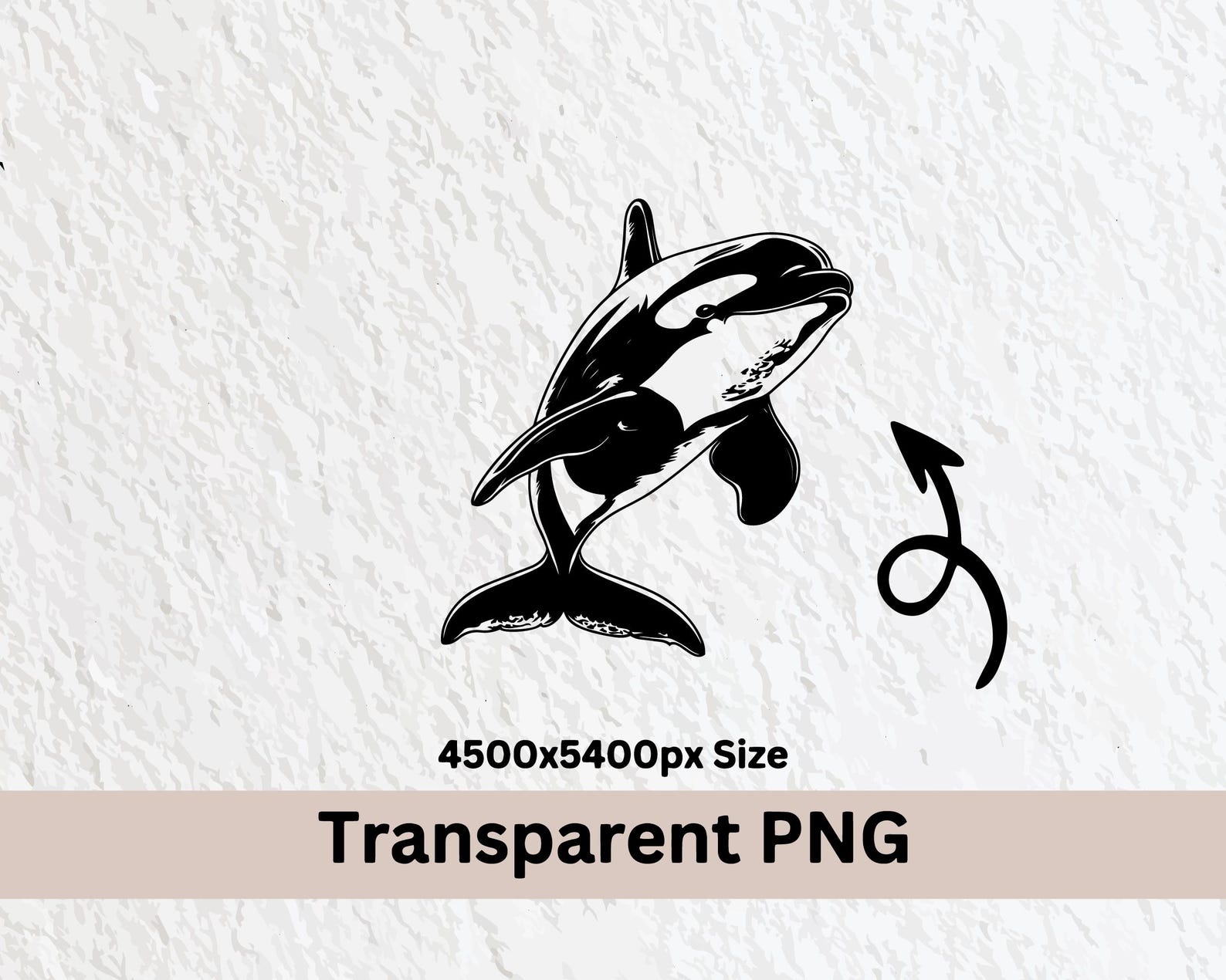 Orca SVG Bundle, Killer Whale Clipart, Vector Decal (digital Download ...