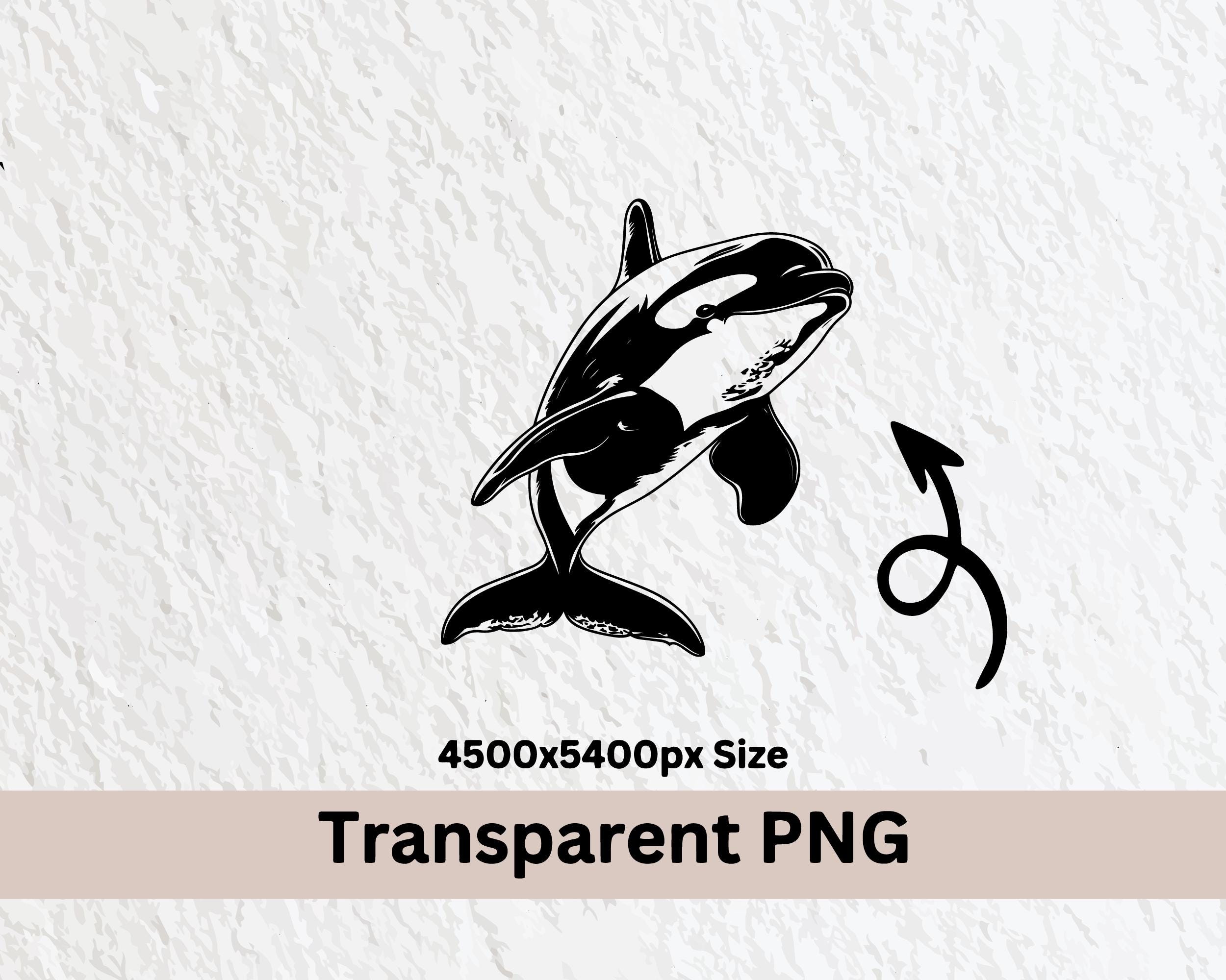 Orca Svg Bundle, Orca Silhouette, Orca Clipart Png, Orca Outline, Orca ...