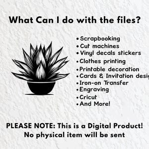 Agave SVG Bundle: Silhouette Clipart, Logo & Decal (PNG, Vector) - Etsy