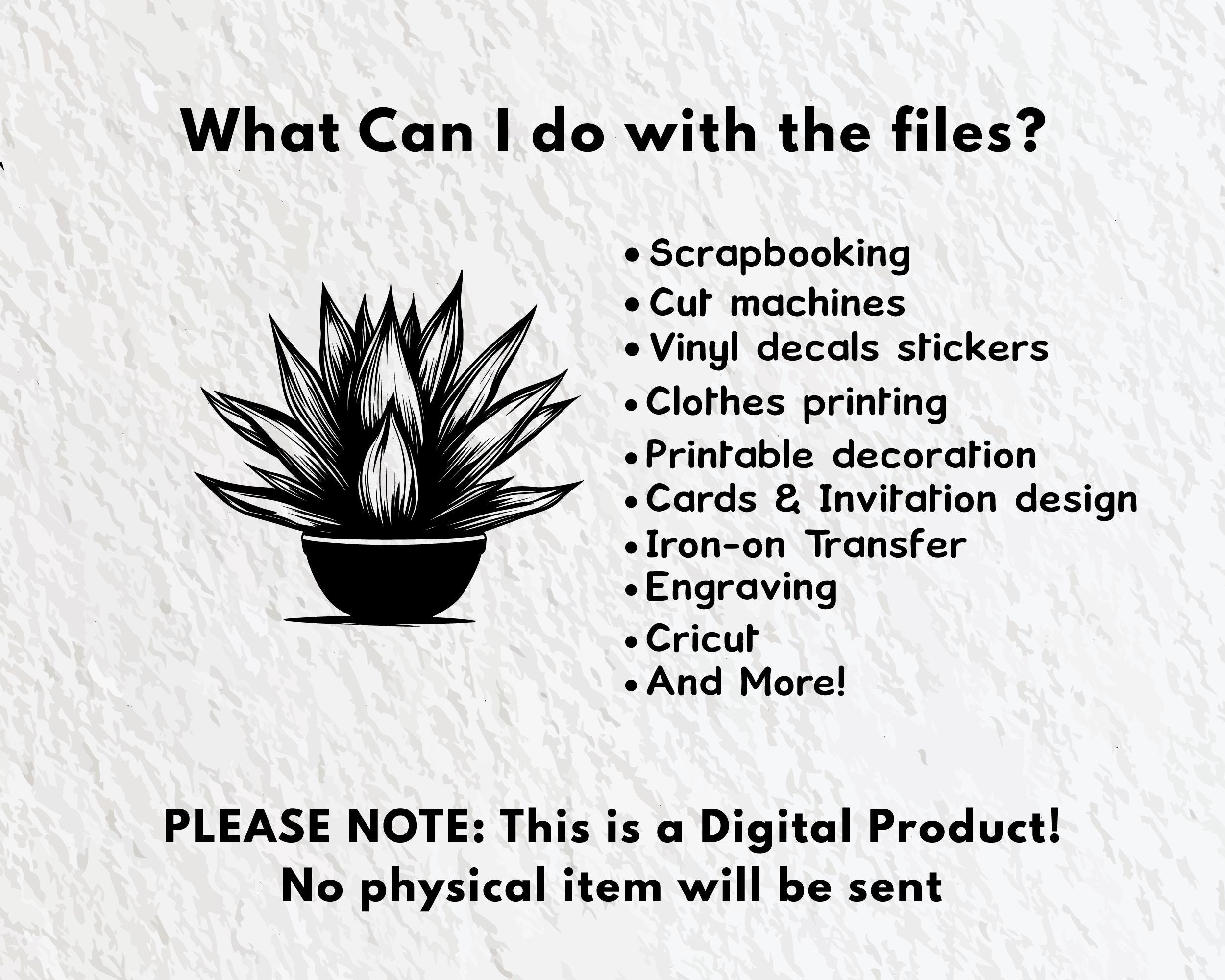 Agave SVG Bundle: Silhouette Clipart, Logo & Decal (PNG, Vector) - Etsy