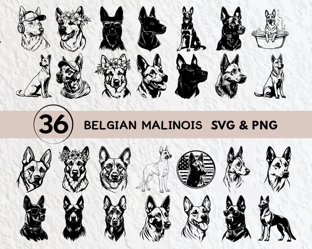 Belgian Malinois SVG Bundle: Silhouette, Clipart, Outline (digital ...