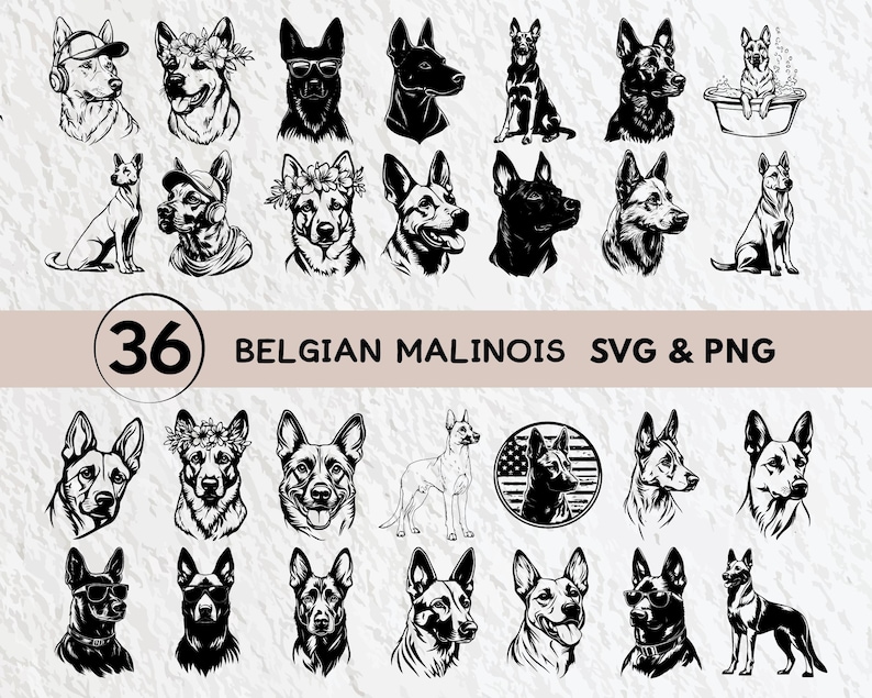 Belgian Malinois SVG Bundle: Silhouette, Clipart, Outline (digital ...