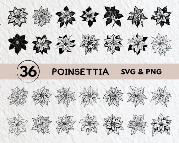 Poinsettia Outline Clipart