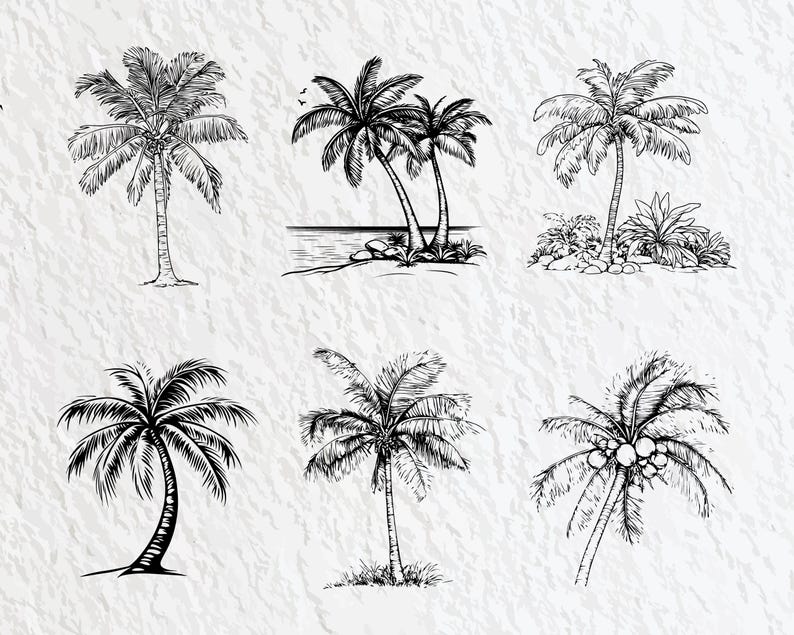 Coconut Tree SVG Bundle: Silhouette Clipart, Logo Icon (PNG, Vector) - Etsy