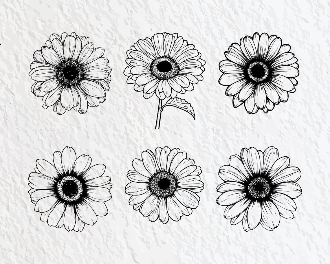 Gerbera Svg Bundle, Gerbera Silhouette, Gerbera Clipart Png, Gerbera ...