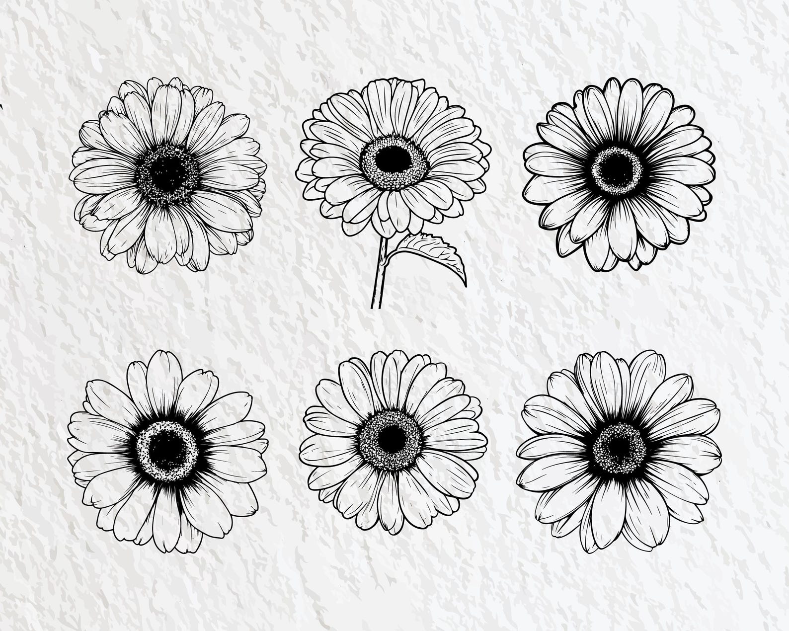 Gerbera Flower SVG Bundle: Floral Clipart, Vector Graphics (digital ...