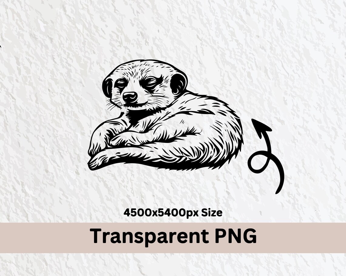 Meerkat Svg Bundle, Meerkat Silhouette, Meerkat Clipart Png, Meerkat ...