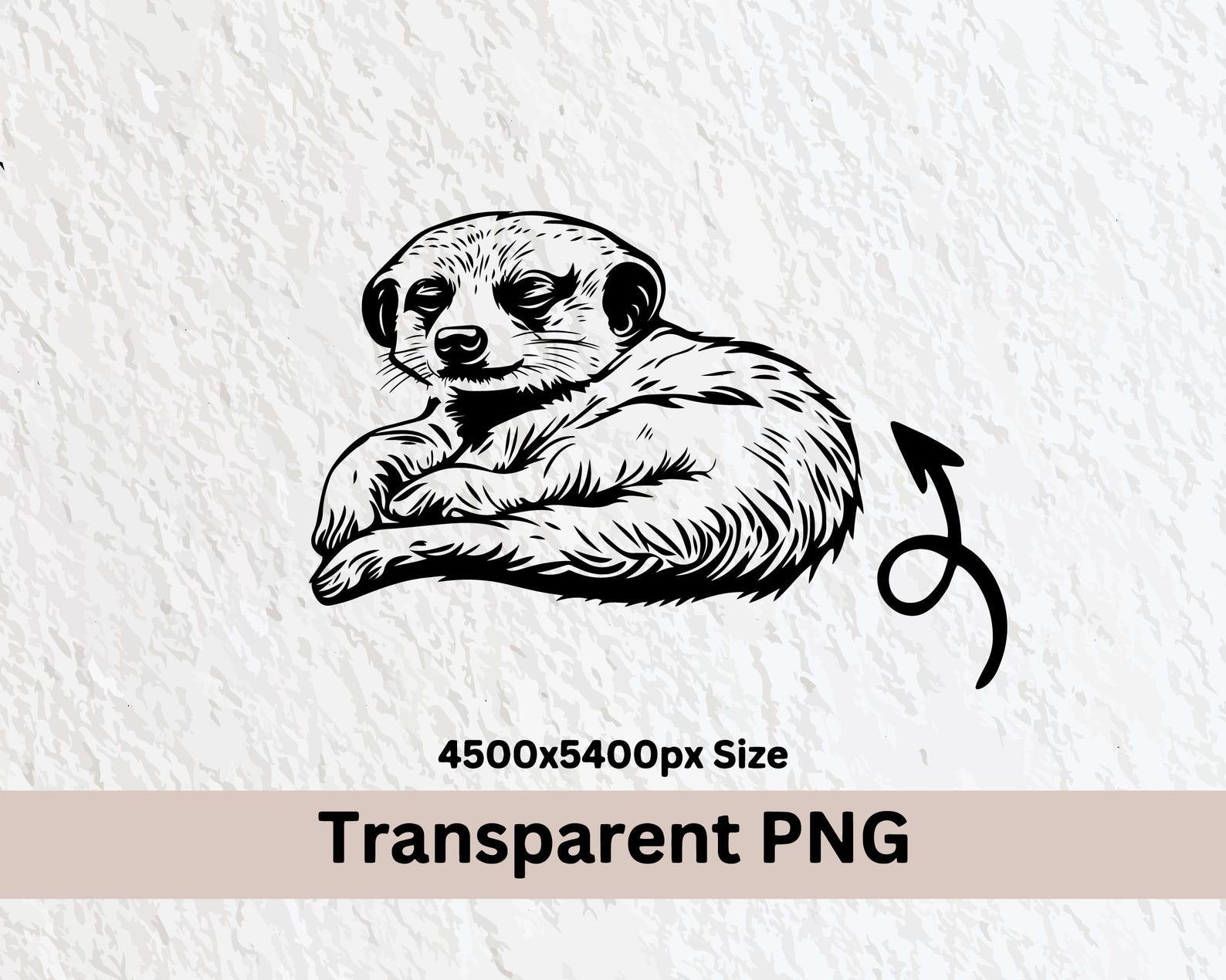 Meerkat Svg Bundle, Meerkat Silhouette, Meerkat Clipart Png, Meerkat ...