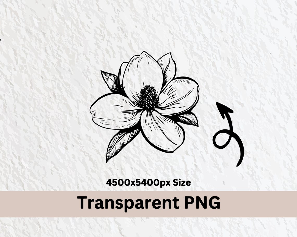 Magnolia Svg Bundle, Magnolia Silhouette, Magnolia Clipart Png ...