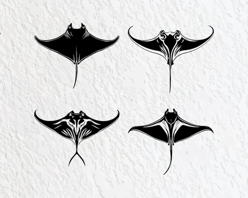 Manta Ray SVG Bundle: Silhouette Clipart, Logo Icon (PNG, Vector) - Etsy