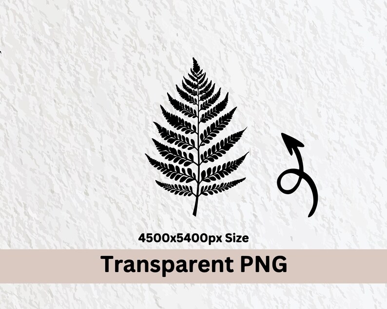 Fern Silhouette: SVG, PNG Clipart Bundle (digital Download) - Etsy