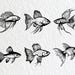 Guppy Fish SVG Bundle: Silhouette Clipart, Cricut Decal Files - Etsy
