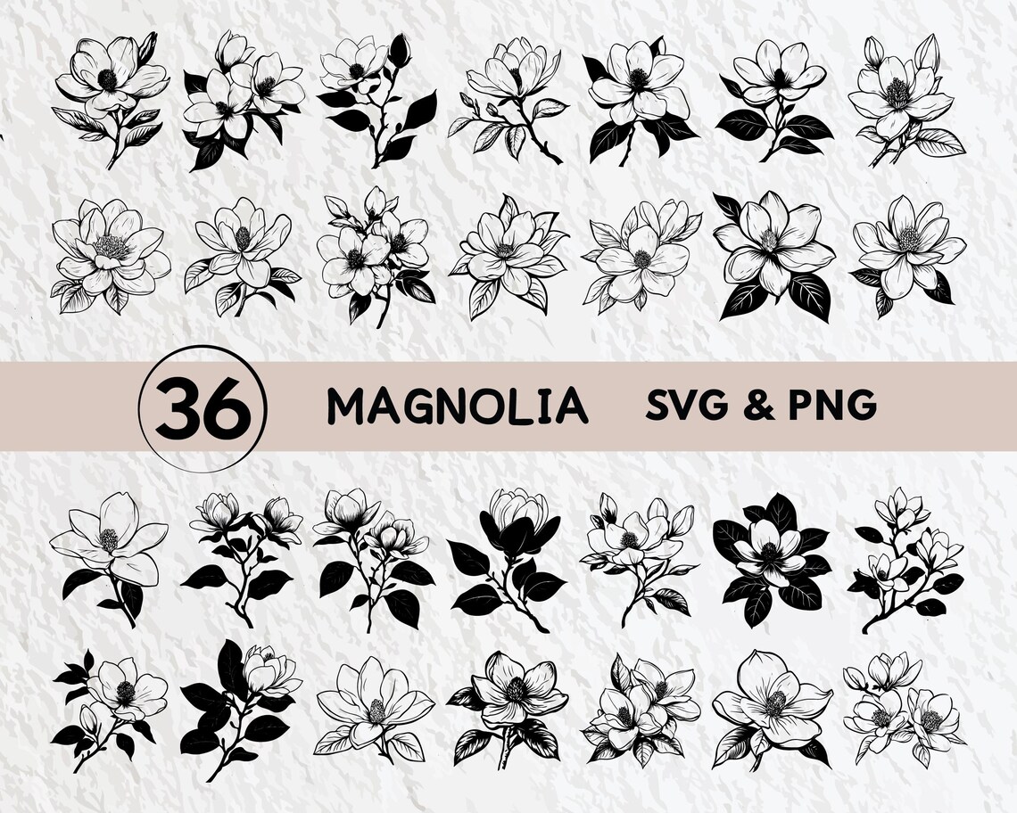 Magnolia Svg Bundle, Magnolia Silhouette, Magnolia Clipart Png ...