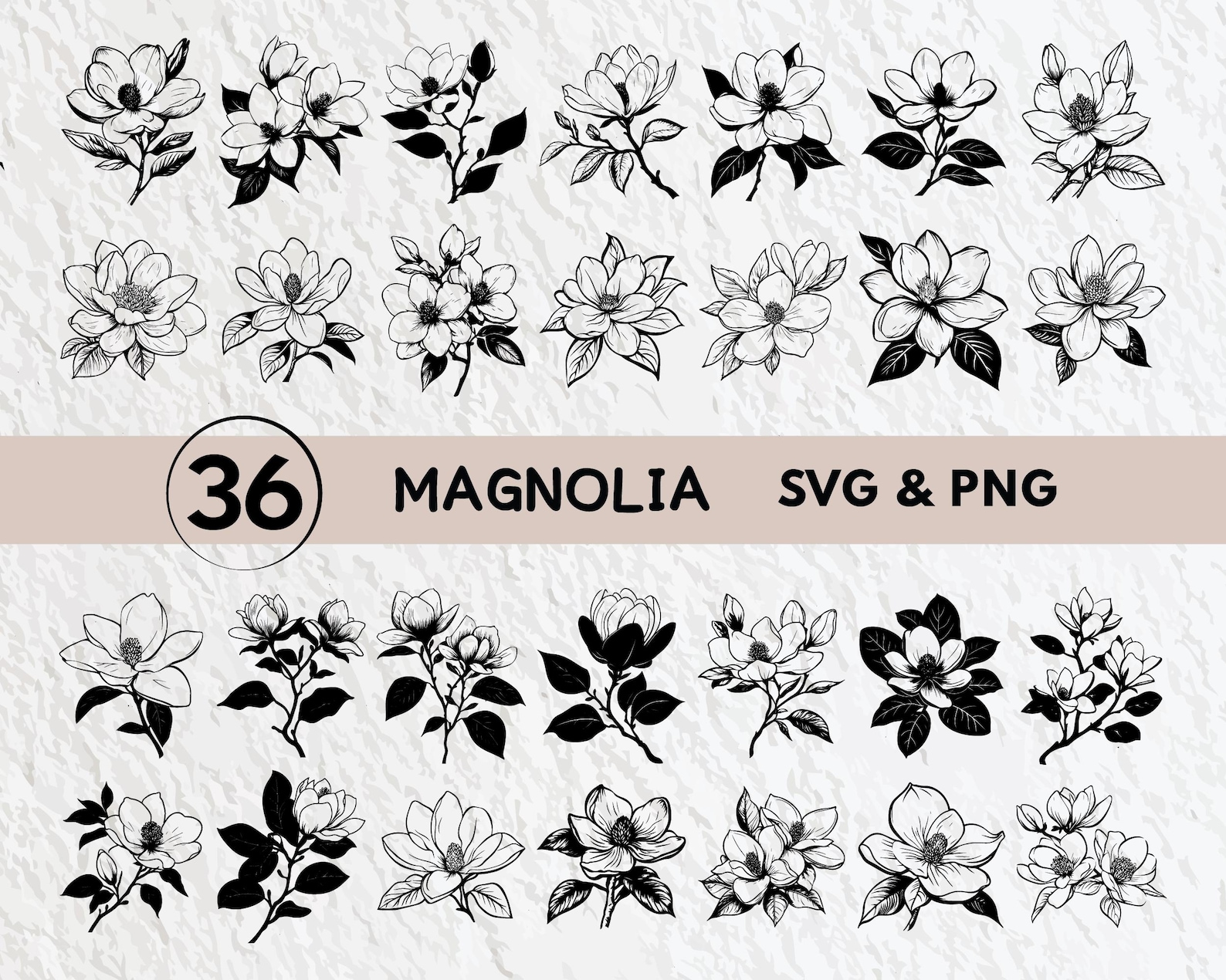 Magnolia Svg Bundle, Magnolia Silhouette, Magnolia Clipart Png ...