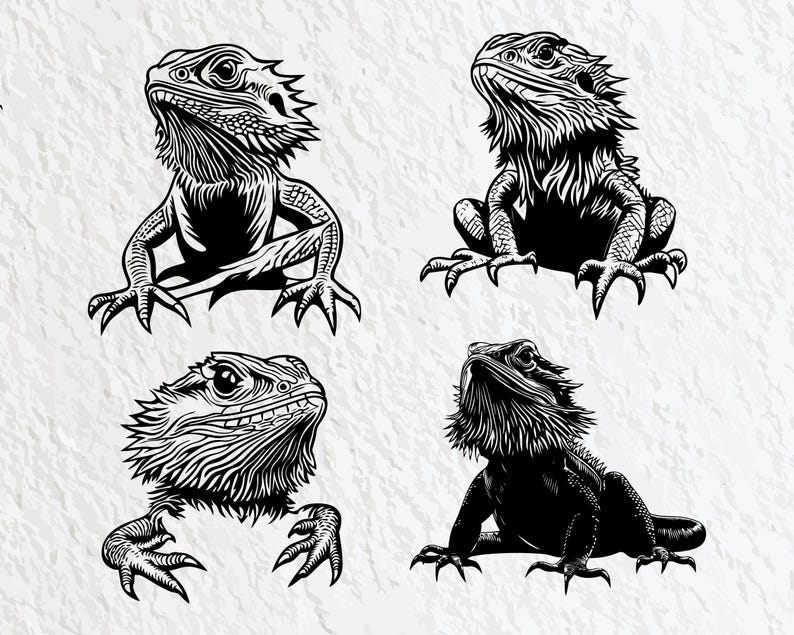 Bearded Dragon Silhouette Svg, Bearded Dragon Svg Bundle, Bearded ...
