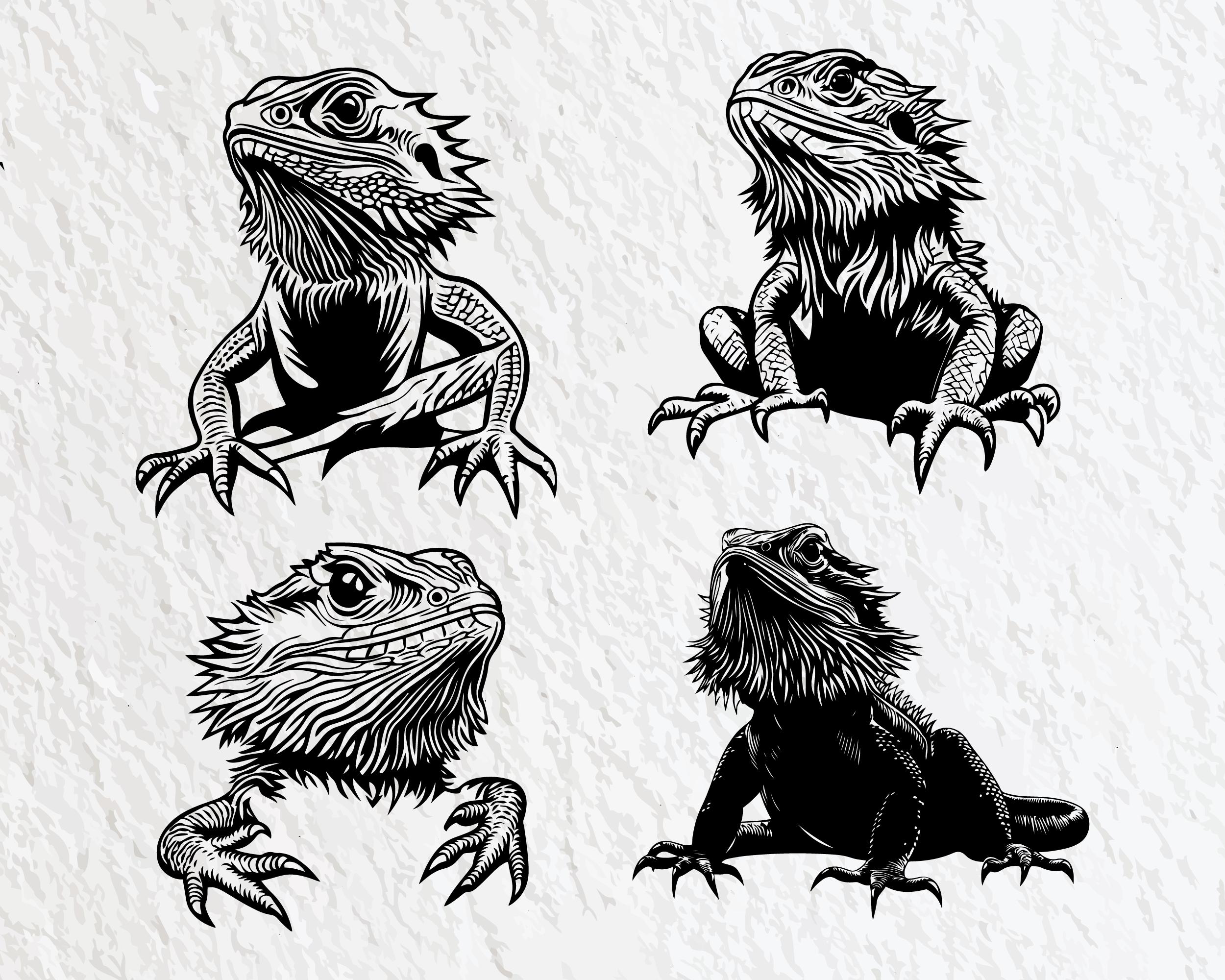 Bearded Dragon Silhouette Svg, Bearded Dragon Svg Bundle, Bearded ...