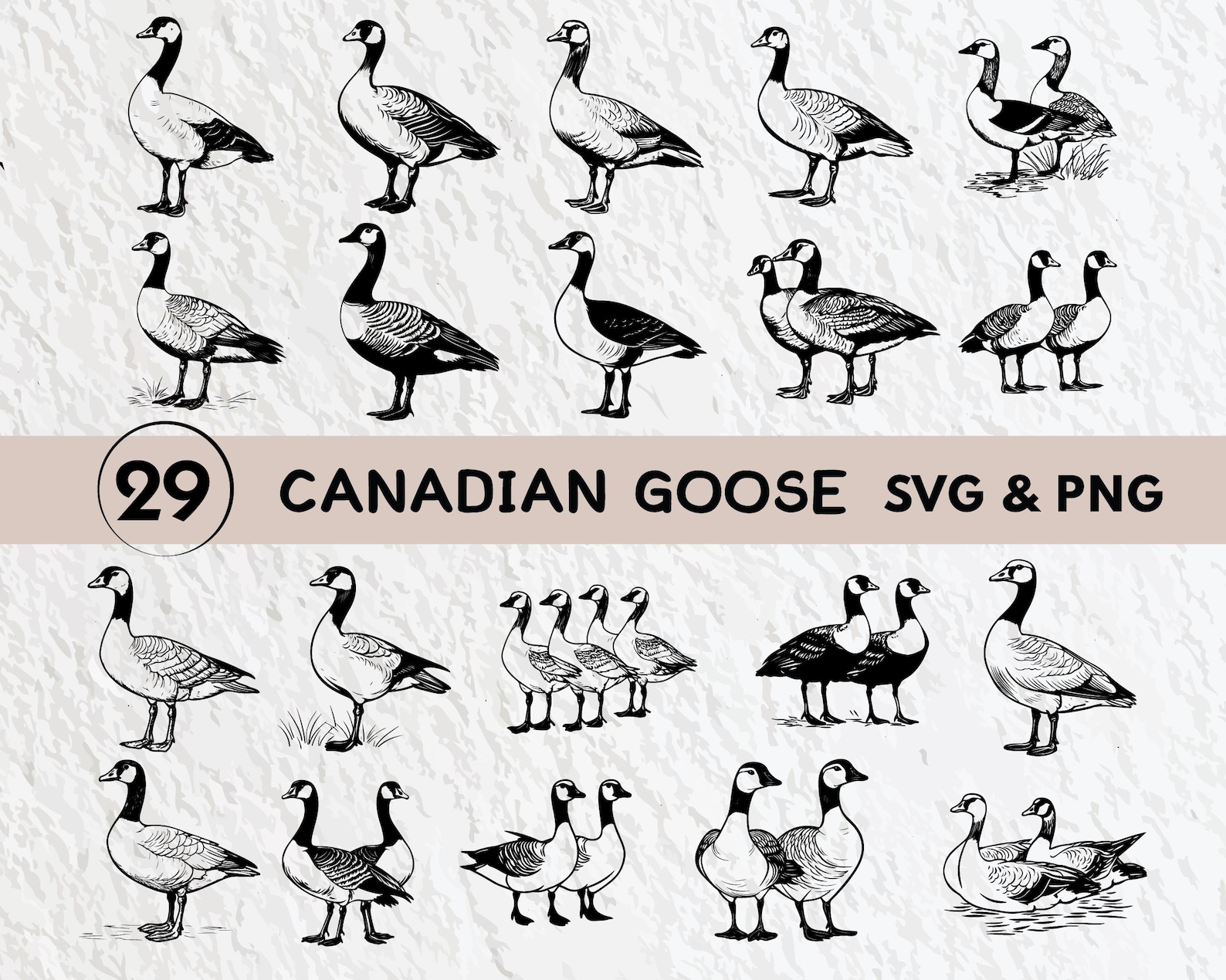 Canadian Goose Svg Bundle, Canadian Goose Silhouette, Canadian Goose ...