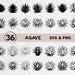 Agave SVG Bundle: Silhouette Clipart, Logo & Decal (PNG, Vector) - Etsy
