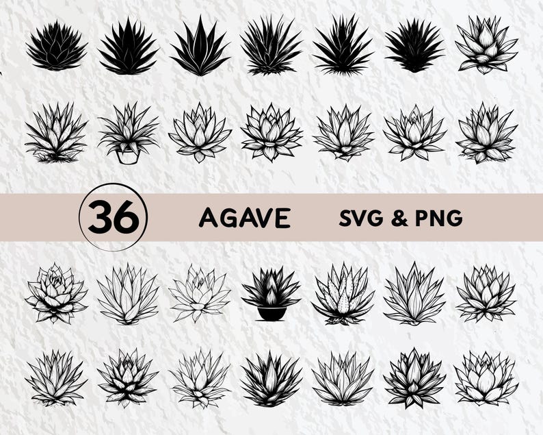 Agave Svg Bundle, Agave Silhouette, Agave Clipart Png, Agave Outline ...