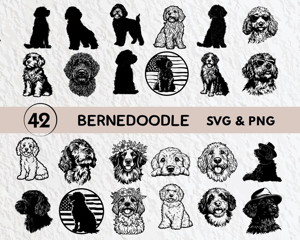 Bernedoodle Svg Bundle, Bernedoodle Silhouette, Bernedoodle Clipart Png ...