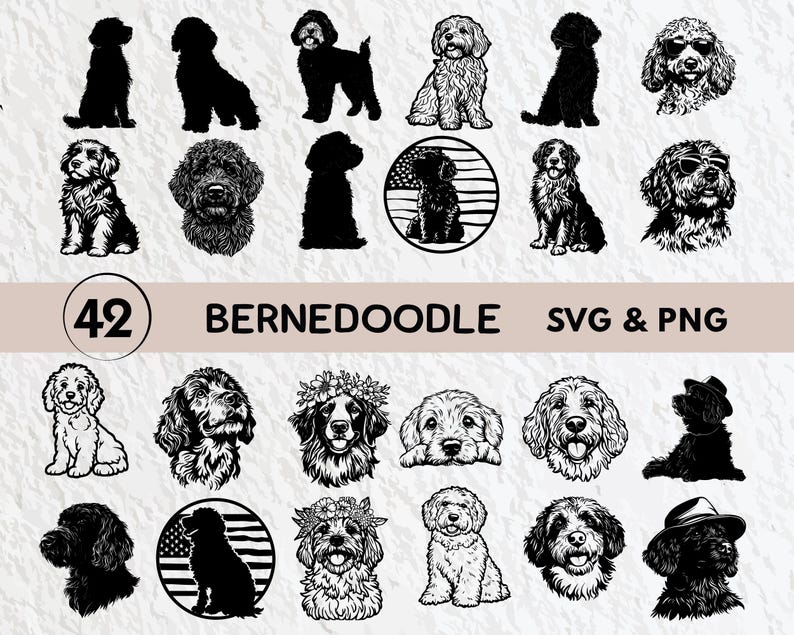 Bernedoodle SVG Bundle: Dog Clipart, Vector Art (PNG, SVG) - Etsy