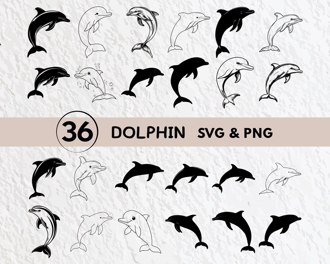 Dolphin SVG Bundle: Silhouette Clipart, Vector Graphics (digital ...