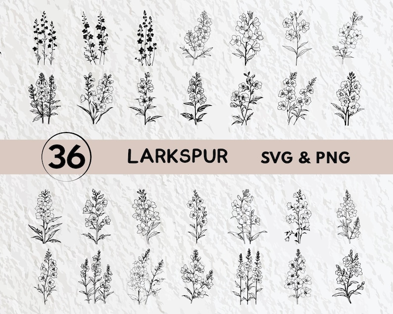 Larkspur Flowers Svg Bundle, Larkspur Silhouette, Larkspur Clipart Png ...