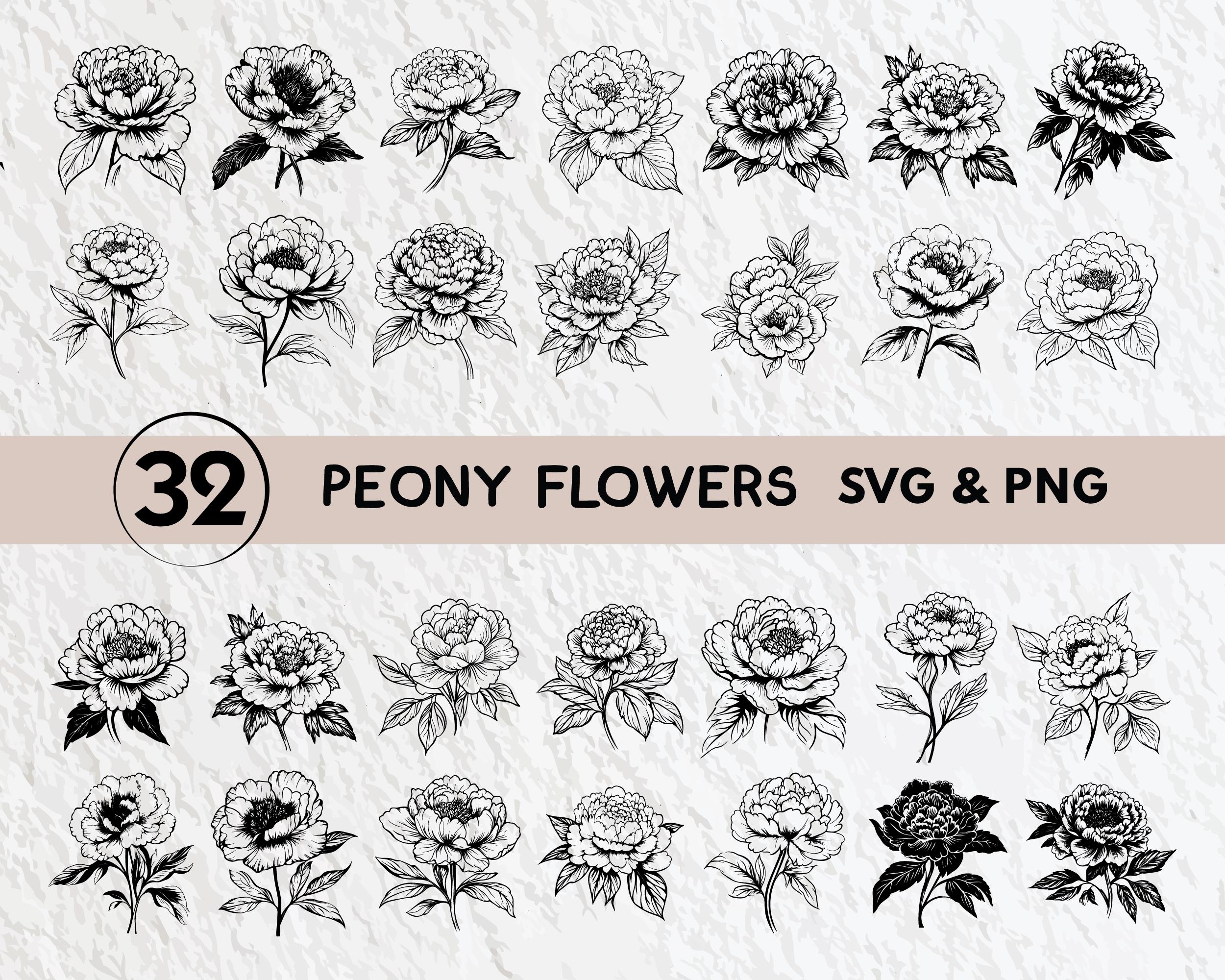 Peony Flower SVG Bundle: Floral Clipart, Vector Logo Icon (PNG, SVG) - Etsy