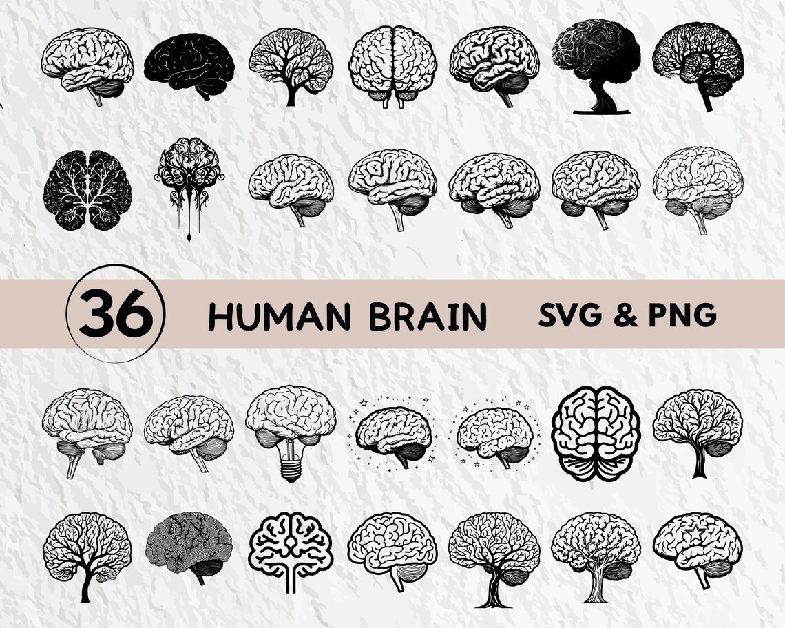 Human Brain SVG Bundle: Silhouette, Clipart, Vector (cut Files, PNG ...