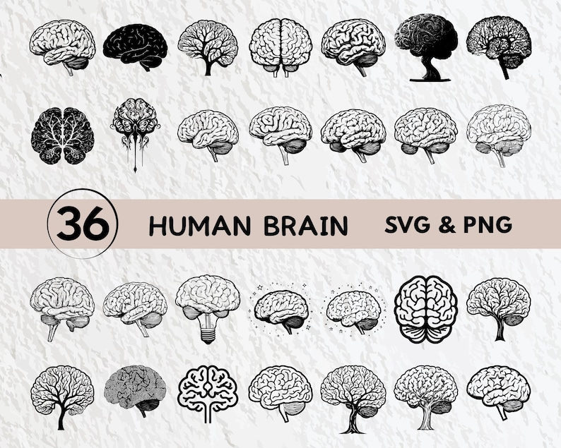 Human Brain SVG Bundle: Silhouette, Clipart, Vector (cut Files, PNG ...