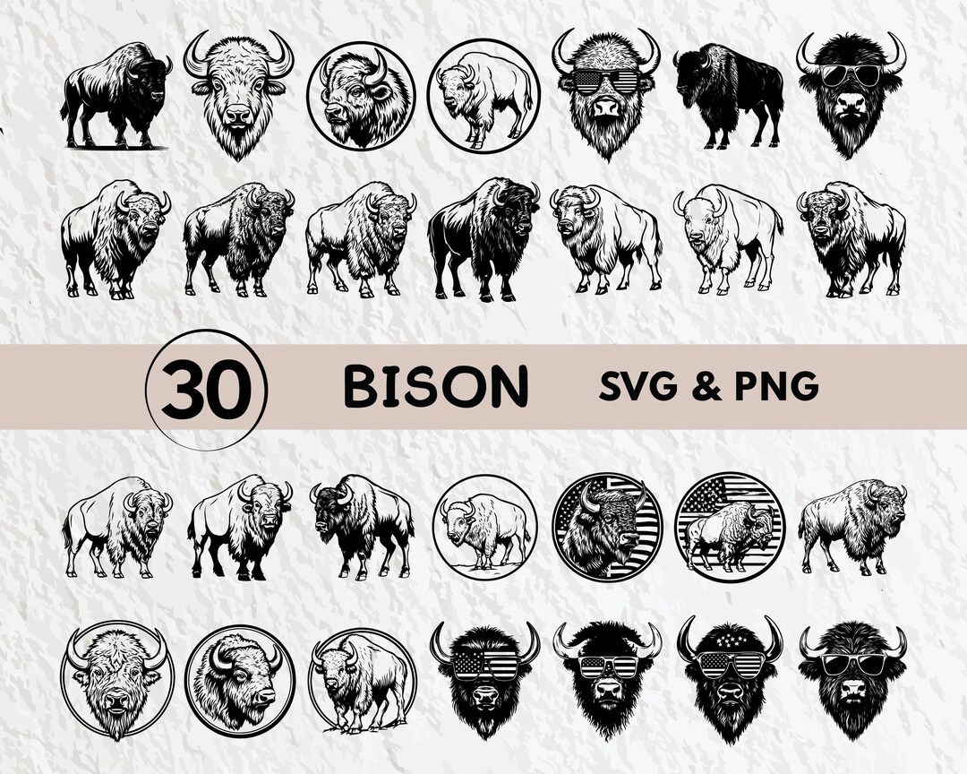 Bison Svg Bundle, Bison Silhouette, Bison Clipart Png, Bison Outline ...
