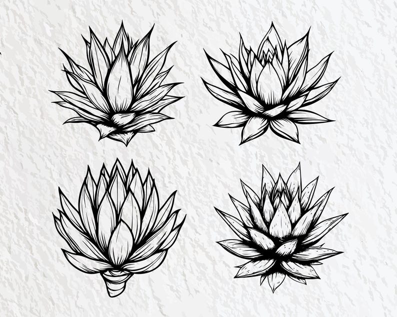 Agave SVG Bundle: Silhouette Clipart, Logo & Decal (PNG, Vector) - Etsy