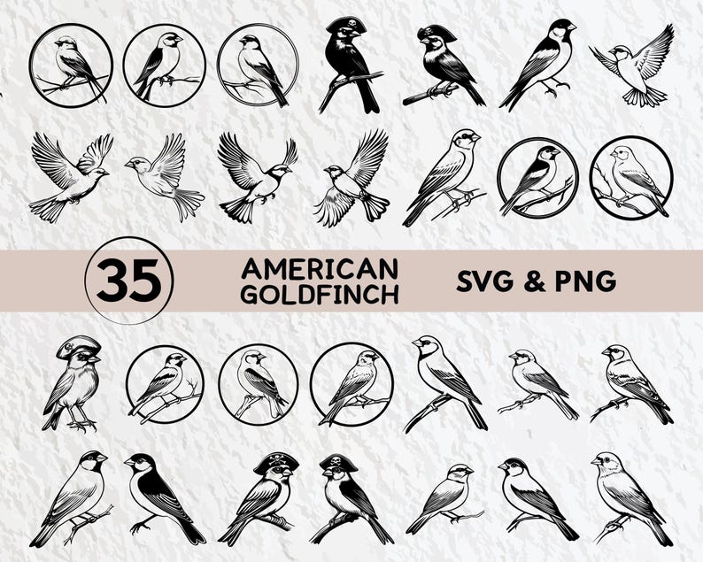 American Goldfinch Svg Bundle, American Goldfinch Silhouette, Goldfinch ...